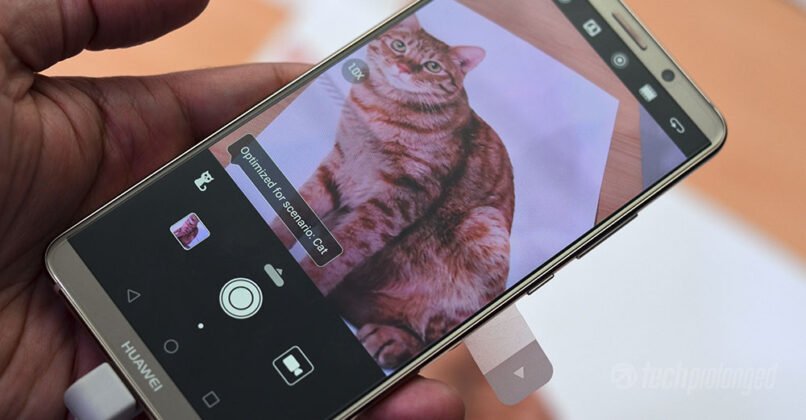 All You Need to Know About the AI Camera Feature in a Smartphone