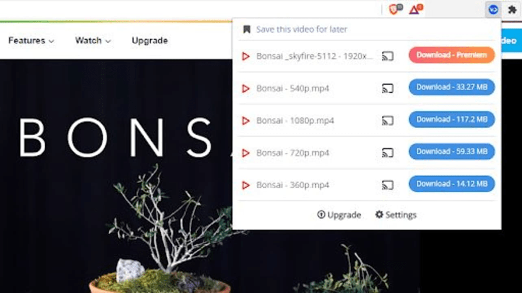 How to Use Video Downloader Plus Chrome Extension in 2023?